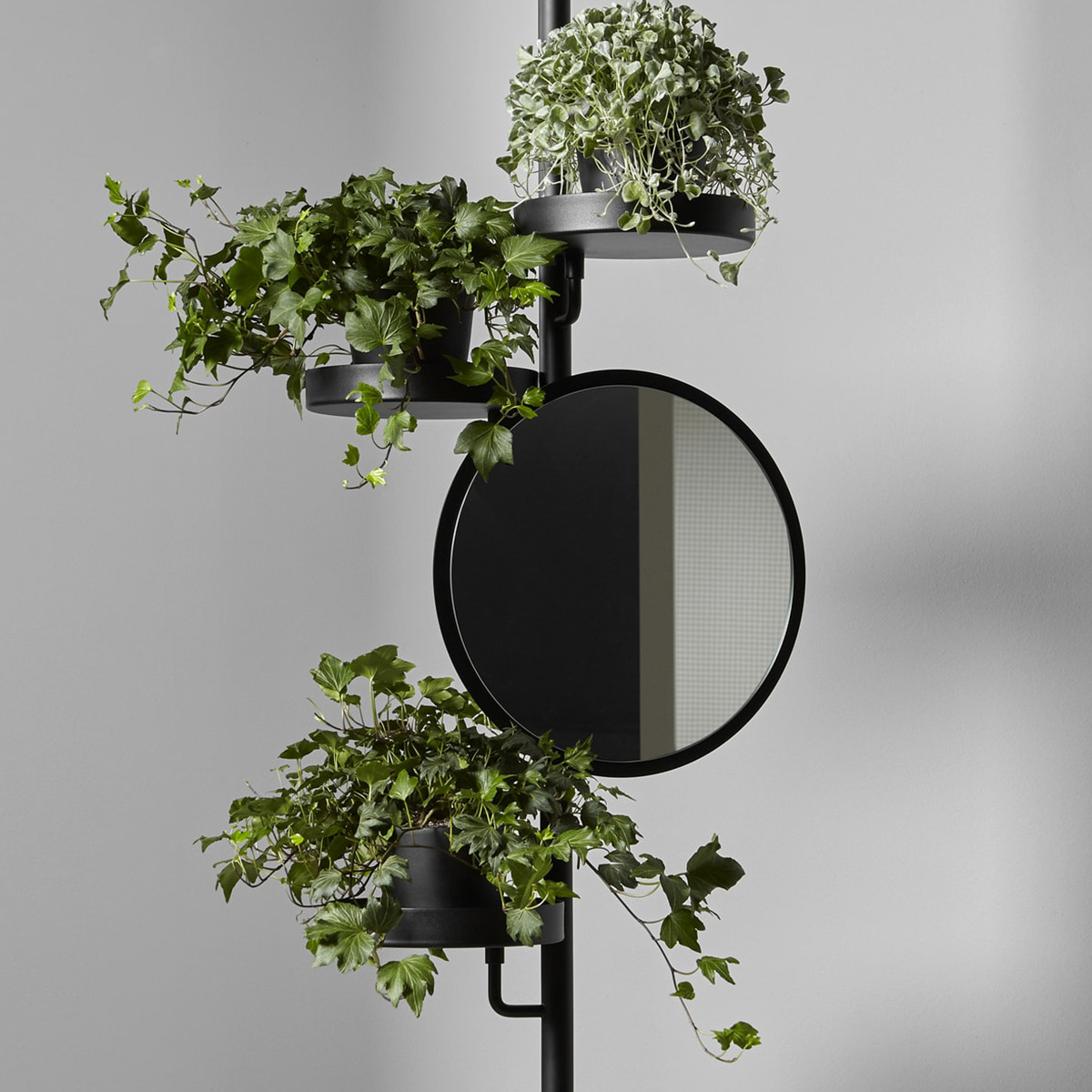 [SET] 캑터스 [SET] Cactus | LOMAD(로마드) - 소유의 타이밍